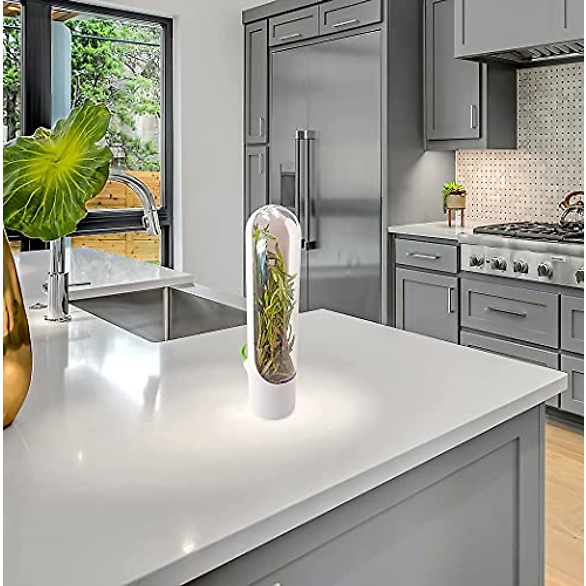 Caliber Cooks, Herb Saver Fresh Keeper Pods Produce Keeper Cilantro Containers for Refrigerator Storage Container for WellPacked Herb Holder Preserve Longer Well Sealing Lid , 9.8x6.6x25.1cm