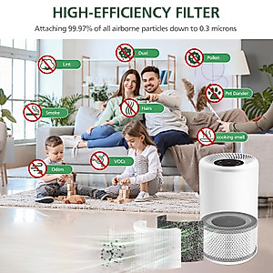 2 Pack Vista 200 Replacement Filter Compatible with LEVOIT Vista 200 Air Purifier, 3-in-1 H13 True HEPA Filter Replacement, Fit Part No.Vista 200-RF