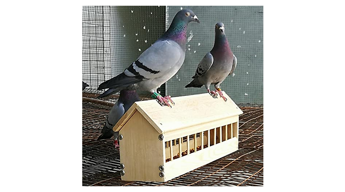 Wooden Bird Feeder - Durable Pigeon Food Dispenser for Garden