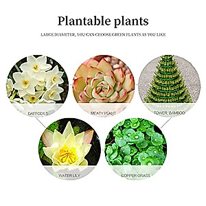 Nautance Beautiful 8-inch Ceramic Pot for Succulents and Indoor Plants,Planters for Succulents, Flower Pots for Your Home Decor or Office