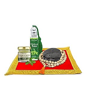 Vedic Vaani Garuda Vishnu Shaligram Shila (Pack of 4)