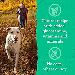 Zukes Hip and Joint Dog Treats, Soft and Chewy Natural Bag of Treats, Hip and Joint Support, Chicken Recipe - 6 oz. Bag