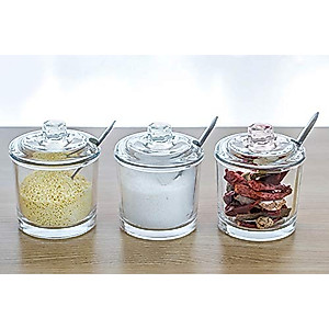 123Arts Glass Sugar Bowl Spice Jar with Lid and Stainless Steel Spoon Spoon