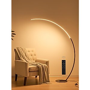 LEDIARY Arc Floor Lamp, 65" Modern Floor Lamp with Remote Control, Dimmable Standing Lamp, Black LED Reading Lamp for Living Room Bedroom Office Home, Stepless Color Temperature