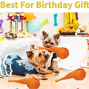 Chicken Leg Piece Squeaky Dog Toy, Interactive Play, Use for Chew, Relief for Anxiety & Boredum for Small,Medium,Large- Best for Gift