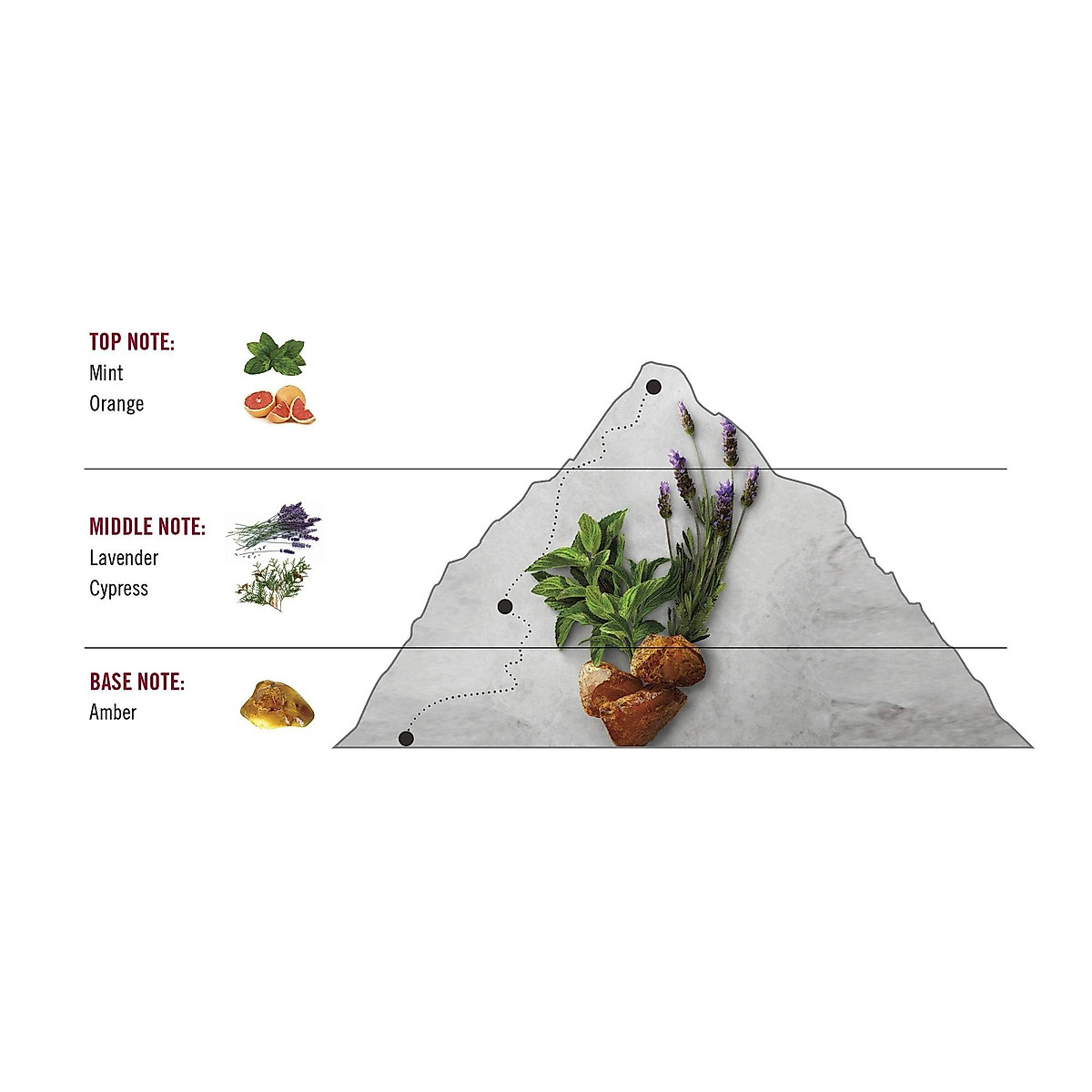 Swiss Army for Men 3.4 oz Eau de Toilette Spray (P40102)