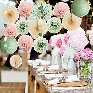 Sage Green and Blush Pink Party Decorations Paper Lanterns Sage Green Cream Paper Fans Light Pink Tissue Paper Pom Poms for Sage Green and Dusty Pink Birthday Baby Shower Bridal Shower Wedding