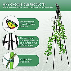 WellSign Garden Obelisk Trellis for Climbing Plants Outdoor and Indoor Trellis for Potted Plants 5.32ft Tall, Rustproof Coated Metal Support with 100 Ties and 5 Butterflies for Ivy Vines Flower 1Pack