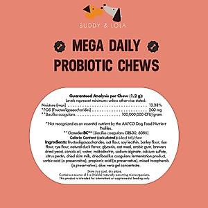 Buddy & Lola Dogs Chews for All Breeds and Sizes - Natural Dog Probiotics Improve Digestion, Help The Immune System, Settle an Upset Stomach Made in USA