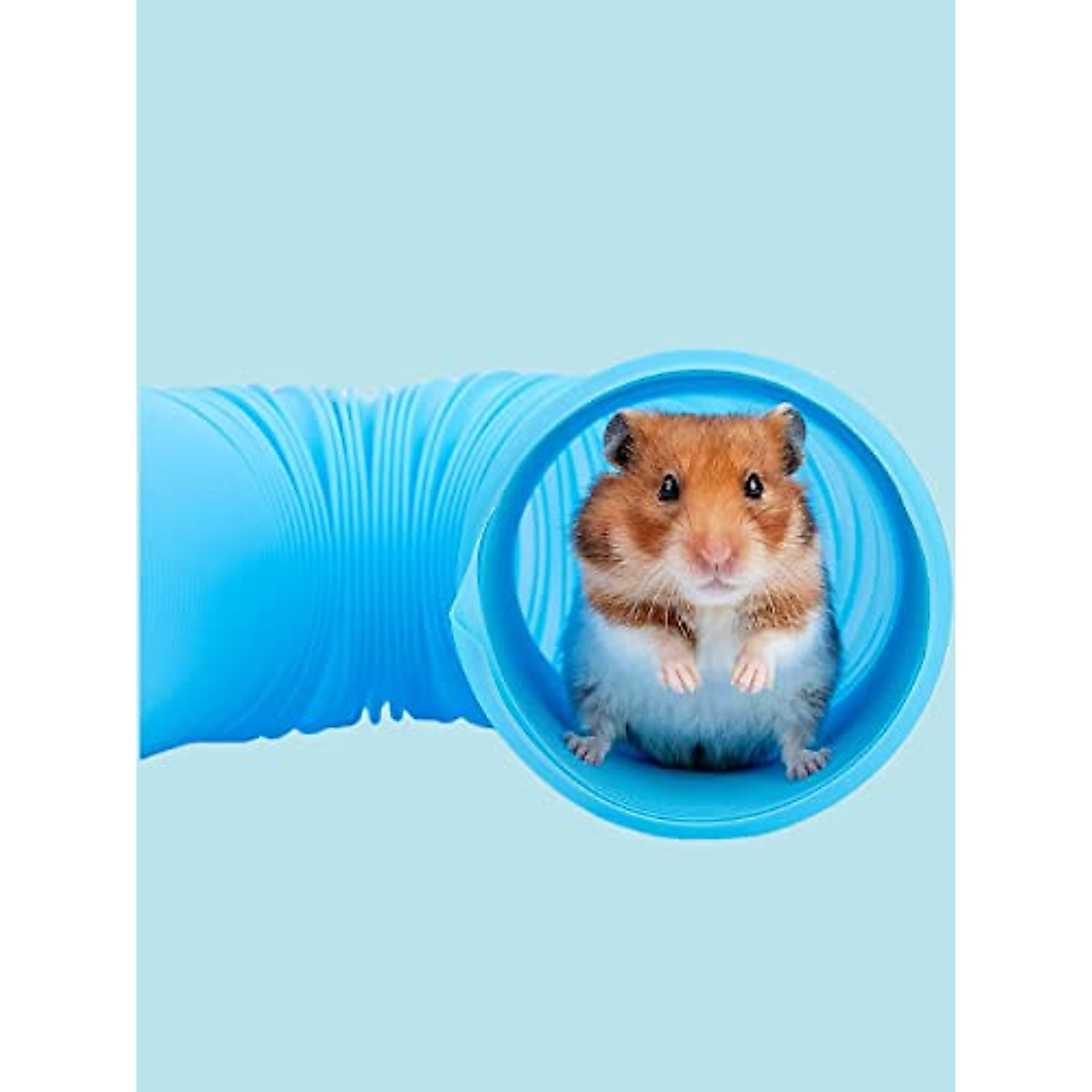 QWINEE Hamster Fun Tunnel Plain Pet Fordable Exercising Training Hideout Tunnel Scalable Pet Plastic Tube Toys for Guinea Pigs Gerbils Rats Mice Ferrets and Other Small Animals Blue One Size