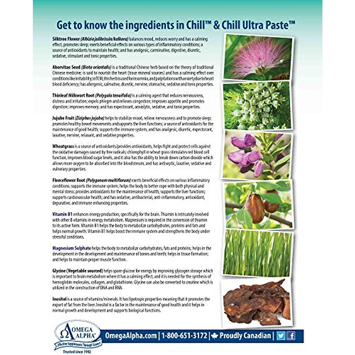 Chill Calming Formula for Horses - 32 Ounces (Quart)