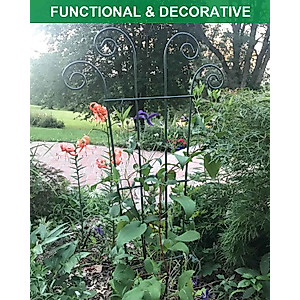 Mklsit 24'' Plant Trellis for Potted Plants, Indoor/Outdoor Garden Trellis for Climbing Plants, Sturdy Metal Pot Trellis for Houseplants Flowers Climbing Vines Ivy, Pack of 2, Black