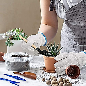 Succulent Tools, Mini Garden Tool Set, Transplanting Tools Set, Succulent Care kit for Succulent Miniature Gardening Plant, Multi, 13 Pcs