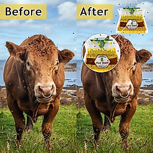 Dwcom 4 Pack Big Fly Bag with Bait, Effective Fly Killer, Fly Traps Outdoor, Hanging Mosquito Catcher for Indoor/Outdoor Family Farm, Orchard