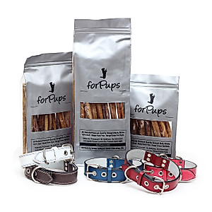 forPups Standard Thickness Bully Sticks (6 Inch - 25 Pack) - All Natural, Grass-Fed, Non-GMO (6") 100% Beef Pizzle Dog Chews, Fully Digestible, Best Dental Treats