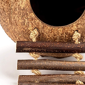 Dlhbafuya Coconut Birdhouse Coconut Shell Climbing nest Hamster hut with Ladder pet Bird Climbing Ladder nest Coconut Shell Bird nest Small Animal Habitat nest.