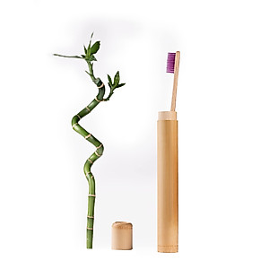 TanAisu Bamboo Toothbrushes with 10 Floss Picks, Travel Case - Biodegradable Toothbrushes (2 Brown, 2 Black, 2 White, 1 Purple, 1 Fuchsia) & Dental Floss Picks| Cover