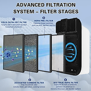 HSP001 Replacement Filter Set Compatible with HATHASPACE HSP001 Smart Air Cleaner Purifier, 4-in-2 HEPA Pre-Filter, H13 True HEPA, Cold Catalyst and Activated Carbon Filter