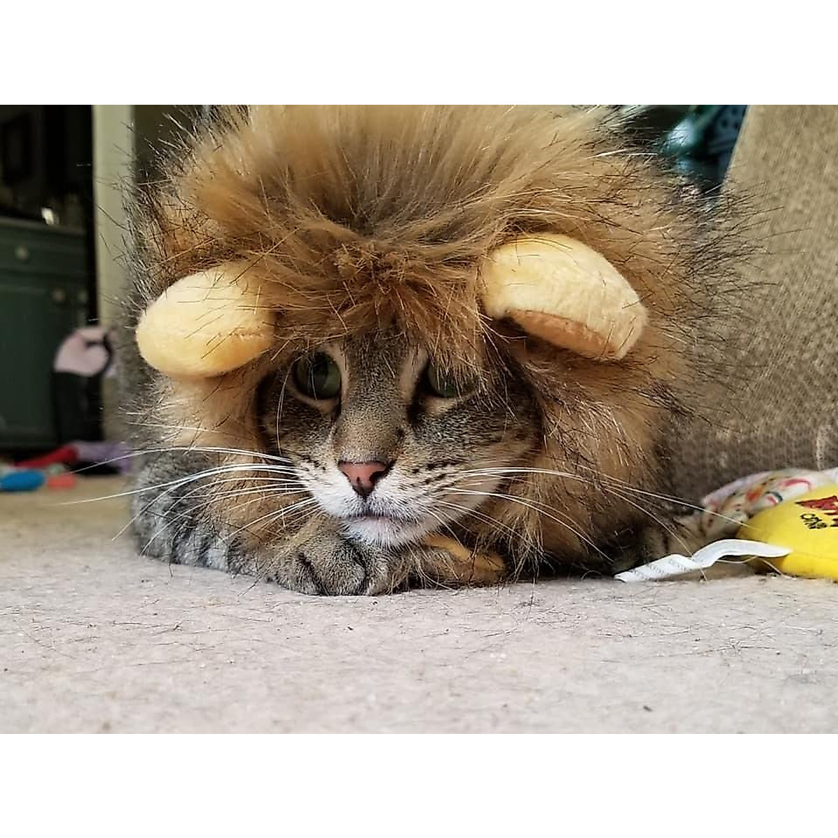 VANVENE Cute Lion Mane Wig Costume for Cat-Pet Adjustable Fancy Lion Hair Cats Outfit for Halloween Christmas Easter Birthday Party Supplies