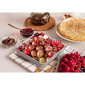 DOBADN Stainless Steel Baking Pan 2 Pcs, 9 Inch Square Roaster Oven Cookie Sheet Barbeque Grilling Pan for Baking Breads Cake, Grilling Chicken, Vegetables, Dishwasher Safe