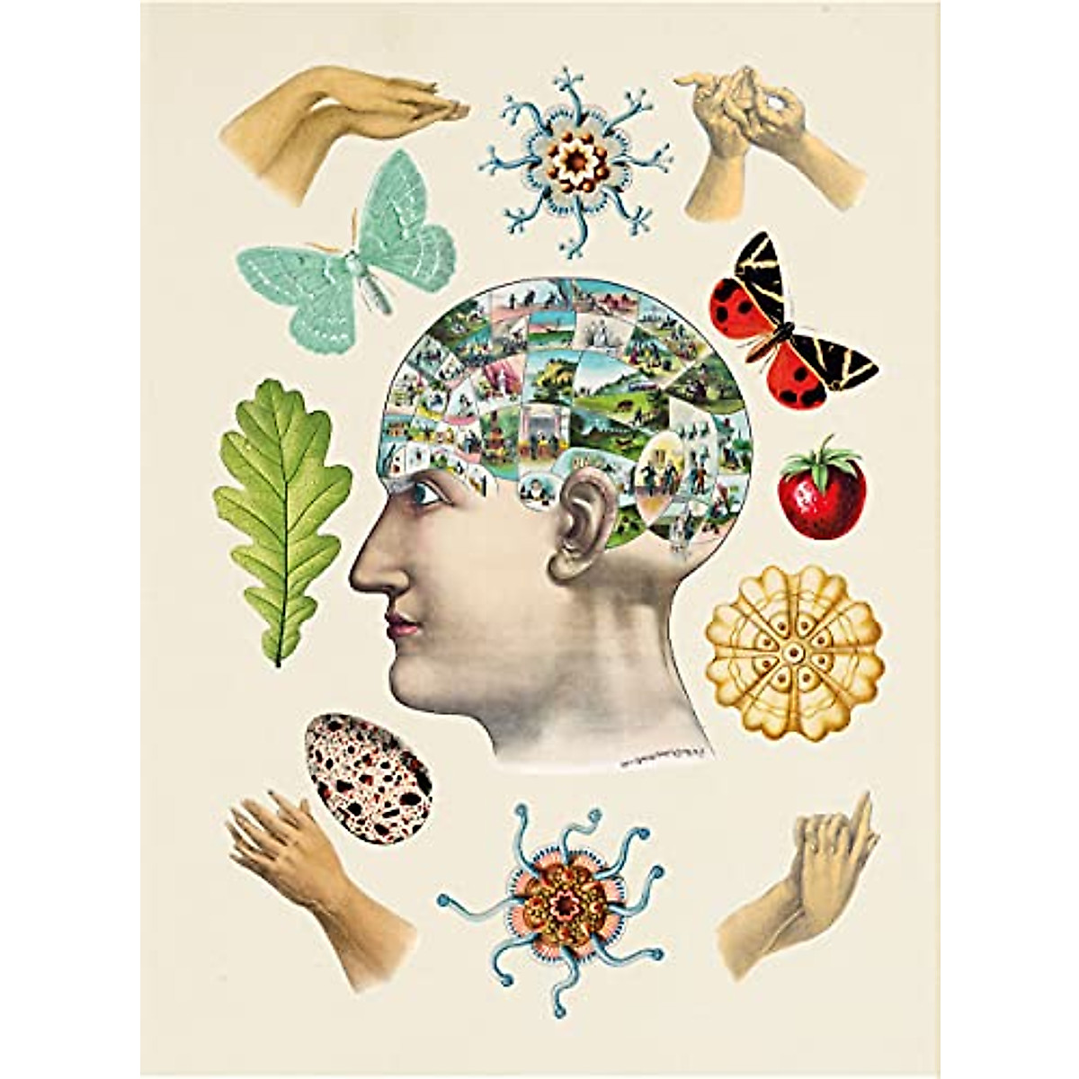 The Antiquarian Sticker Book: Over 1,000 Exquisite Victorian Stickers (The Antiquarian Sticker Book Series)