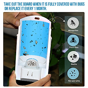 Flying Insect Trap, Indoor Plug-in Fly Trap for Home, Mosquito Killer Indoor Gnat Moth Catcher with Night UV Light, Mosquito Attractant Fly Bug Zapper for Home, Office (2 x Devices & 8 x Refills)