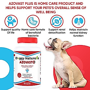 Azovast Plus Kidney Health Supplement for Dogs & Cats, 120ct - NO Refrigeration Required - Help Support Kidney Function & Manage Renal Toxins - Renal Care Supplement Capsule(U.S.A) (120 Caps)
