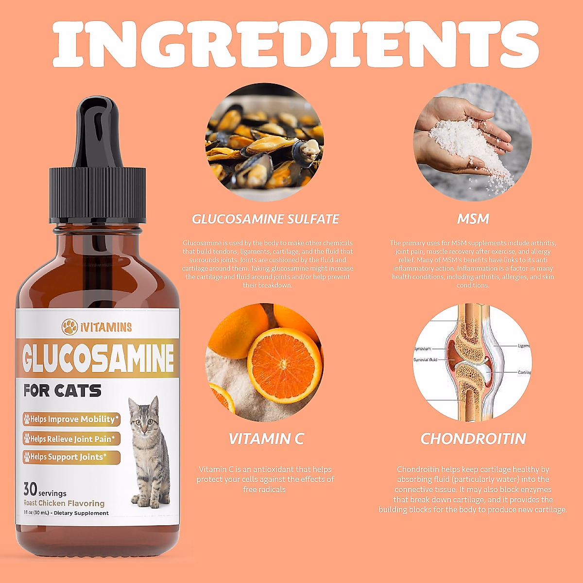 Glucosamine for Cats | Cat Glucosamine | Glucosamine for Cats Liquid | Cat Joint Supplement | Joint Supplement for Cats | Cat Joint Pain Relief | Joint Support for Cats | 1 fl oz: Chicken Flavor