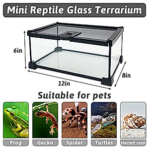 PINVNBY Reptile Glass Terrarium Ball Python Tank 12"x8"x6" Micro Habitat Terrarium Enclosure Amphibians Tank Cage Full View Visually Appealing for Small Reptiles,Spiders,Leopard Gecko