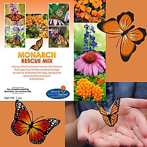 Monarch Butterfly Rescue Wildflower Seeds Bulk Open-Pollinated Wildflower Seed Packet, No Fillers, Annual, Perennial Milkweed Seeds for Monarch Butterfly 1oz
