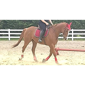 Lift Sports New Horse English Saddle Pad Set Matching Fly Bonnet Veil Ear Net Polyester Hand Made Crochet Full Size Equestrian Shows Tack