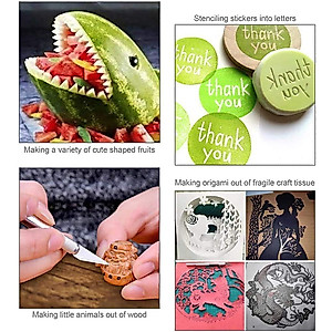 DIYSELF 1 Pcs Exacto Knife with 11 Pcs SK5 High Carbon Steel Exacto Blades Kit, Precision Knife Stencil Knife, Craft Hobby Knife, Art knife and 1pcs Steel 15cm Ruler for Fondant, Scrapbooking (Green)