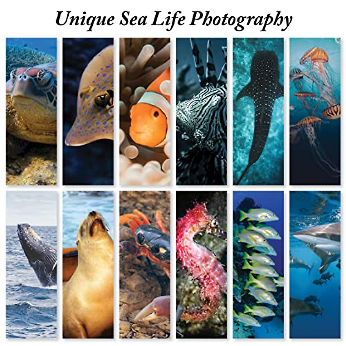 JBH Creations Ocean Animal Bookmarks - Pack of 48