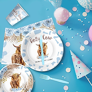 APOWBLS Highland Cow Baby Shower Decorations Tableware - Holy Cow Baby Boy Party Supplies, Paper Plate, Cup, Napkin, Disposable Fork, Blue Boho Highland Cow Baby Shower Table Decorations | Serve 24