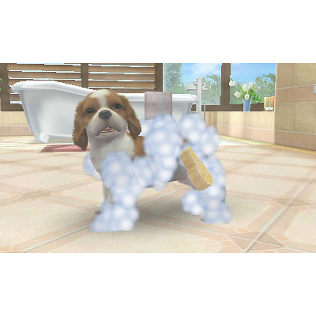 Happy Price selection nintendogs + cats Shiba & New Friends