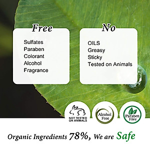 Niacinamide 10% + Zinc PCA 1% Serum for Face - Pore Reducer + Uneven Skin Tone Treatment + Diminishes Acne Prone, Skin Balancing Pore Reducing, Restores Elasticity, 2 Fl Oz