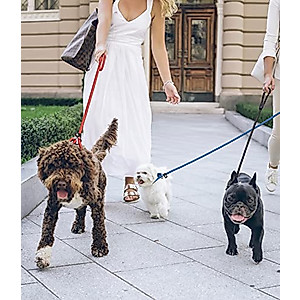 FOVRLZSE 3pcs Slip Lead Dog Leash,Strong Nylon Rope Leash,Training Leash for Large Medium and Small Dogs