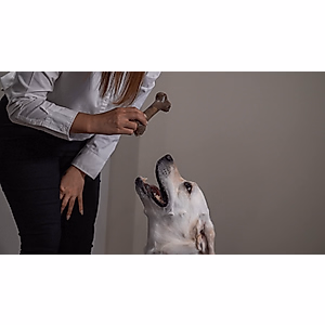 Hero | Bonetics Femur Bone | Dog Bones | Puppy Bones | Designed for Extra Large Dogs Up to 75 lbs (Bacon Flavor)