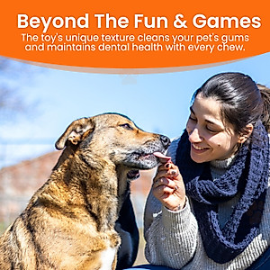 ReThink Pet Treat Dispenser Bone Toy, Beef Flavored Rubber Dog Treat Toy, Floatable Dog Enrichment Toys, Refillable Interactive Treat Dispensing Dog Toys for Boredom