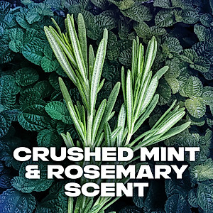 AXE Antiperspirant Deodorant for Men Phoenix 4PK 48H Sweat & Odor Protection for Long Lasting Freshness, Crushed Mint & Rosemary Men's Deodorant 2.7 oz