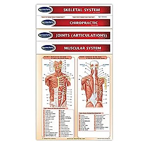 Chiropractic Medicine Guides - 4 Chart Bundle - Medical Quick Reference Guides by Permacharts