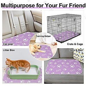 BEAUTYZOO 6 Pack Washable Pee Pads for Dogs, Reusable Puppy Pads for Potty Training, Waterproof Super Absorbent Whelping Pads Mats Non Slip Against Urine for Small Medium Dogs Cats, 16" x 24"