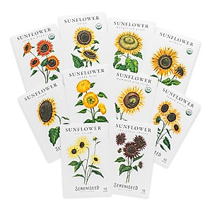 Sereniseed Sunflower Seeds Collection (10-Pack) – 100% Non GMO, Open Pollinated – Grow Guide