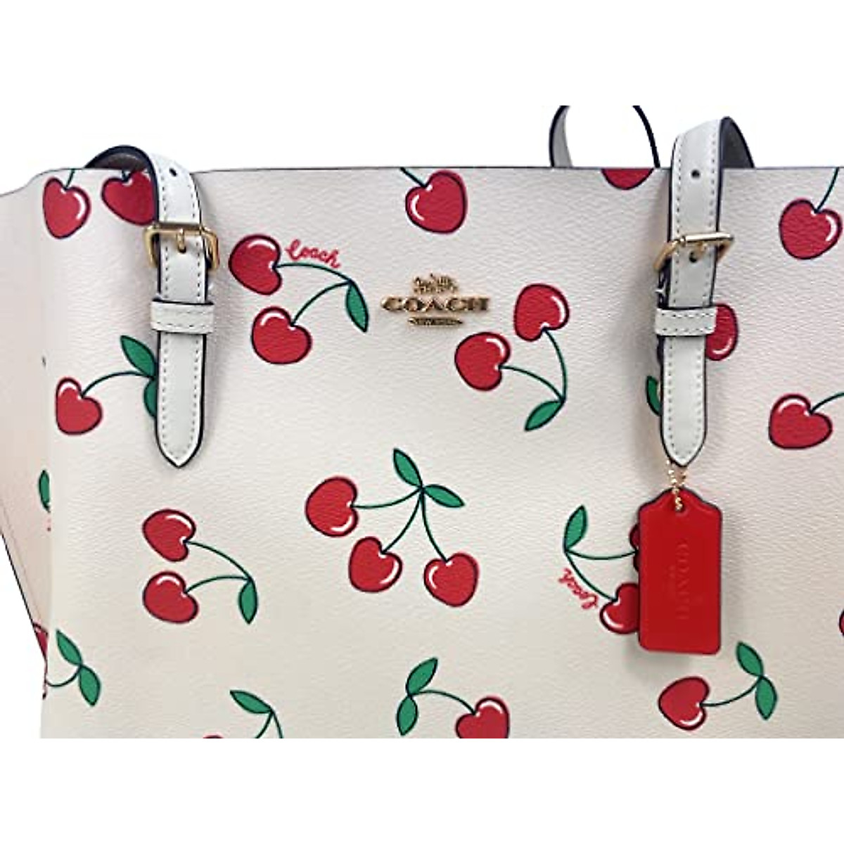 COACH Mollie Tote in Cherry/Chalk Multi