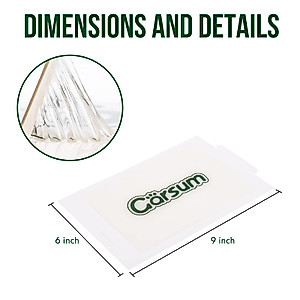 Garsum 10 Pack Mouse Glue Trap, Peanut Butter Scent Sticky Traps, Heavy Duty Pest Board Insect Spider Mice, Extra Strength Trampas para Ratones Indoor for Home