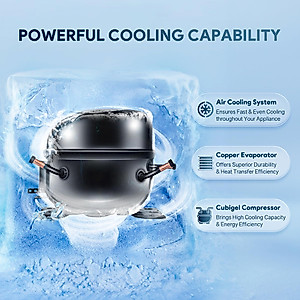 WILPREP Commercial Freezer, 27" ETL-Listed 1 Solid Door Upright Freezer with 18.7 cu. ft. Capacity, Stainless Steel Reach in Freezer with Air Cooling