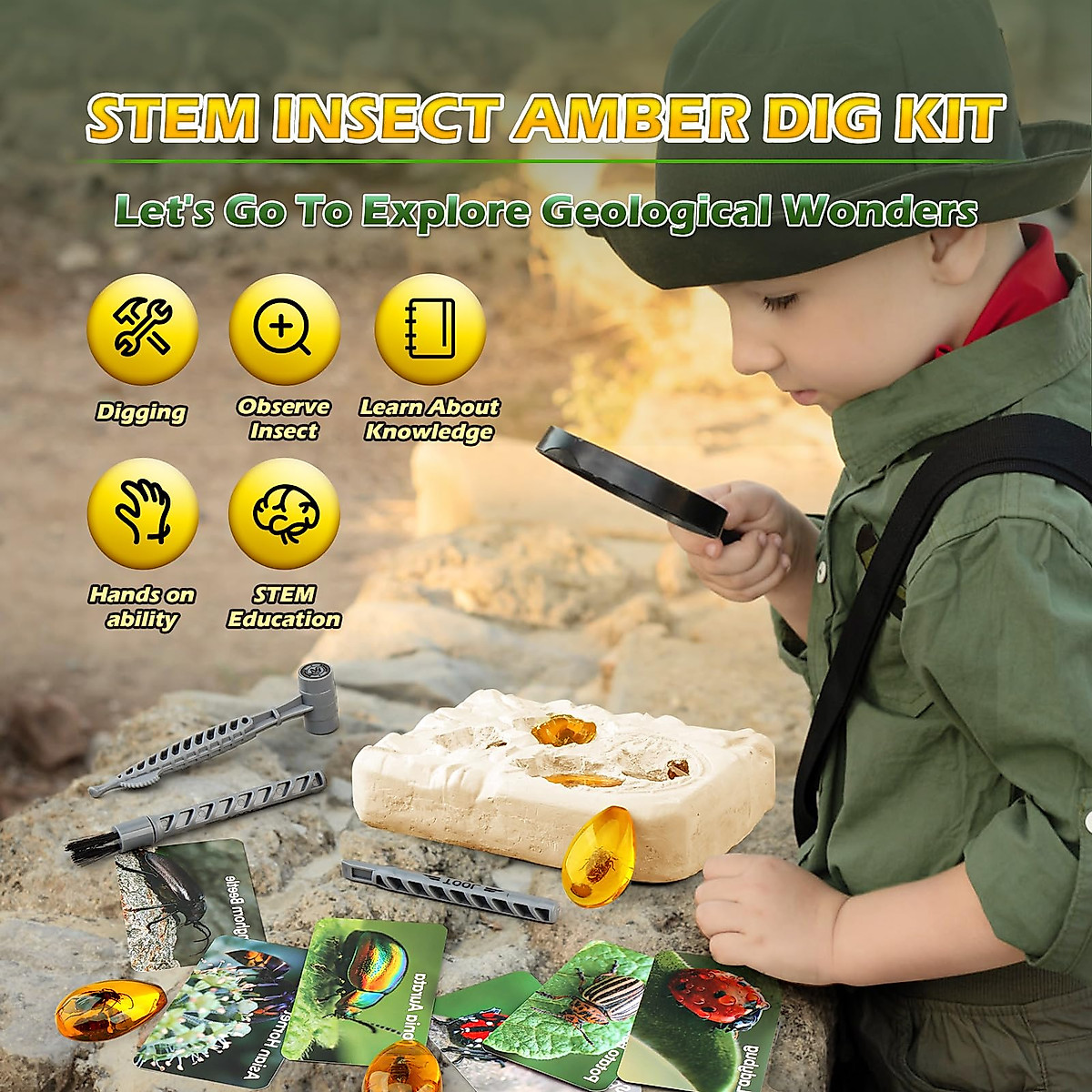 Amber Dig Kit - Insects in Resin, 8 Insects Specimens Excavation Kit, Geographic Bug Toys for Kids, Educational Science Kits for Bugs Collection, STEM Toys for Boys & Girls Age 6 and up Birthday Gift