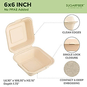 Harvest Pack GOURMET SHOWCASE [50 COUNT Sugarfiber 6 X 6 PFAS FREE Compostable Square Hinged Container, Single Compartment Clamshell Takeout Box, Made from Eco-Friendly Plant Fibers, No PFAS Added