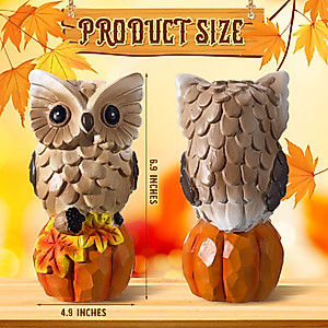 Moucuny Owl Fall Decor Resin Thanksgiving Owl Decor Fall Pumpkin Owl Table Centerpieces Thanksgiving Table Decor Country Style Thanksgiving Owl on Pumpkin Autumns Fall Home Garden Holiday Decor