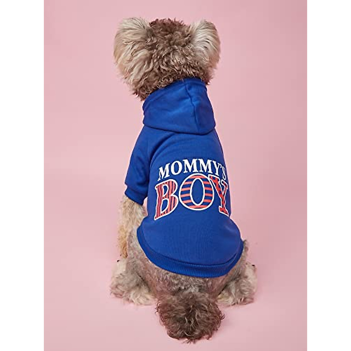 QWINEE Dog MOM BOY Letter Print Hoodie Sweatshirt Cat Puppy Shirt Clothes for Small Dogs Kitten Kitty Multicolor M